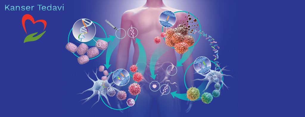 Kanser Tedavi - Kanser Tedavi